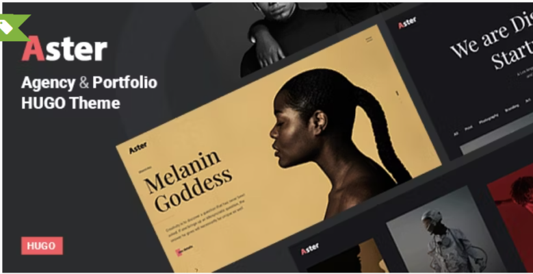 Aster – Creative Agency Portfolio HUGO Theme - WpWar